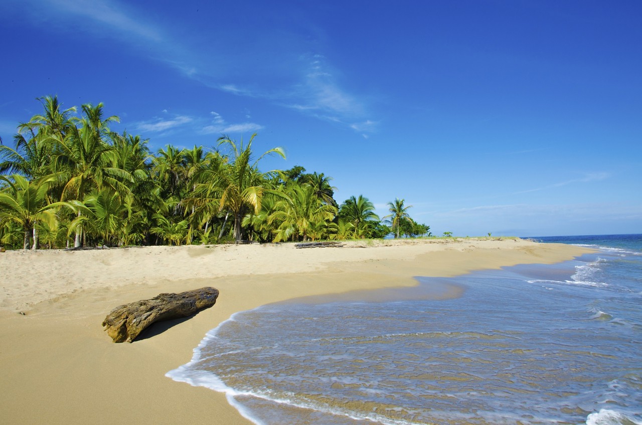 Barceló Hotels & Resorts à Playa Tambor | Barcelo.com