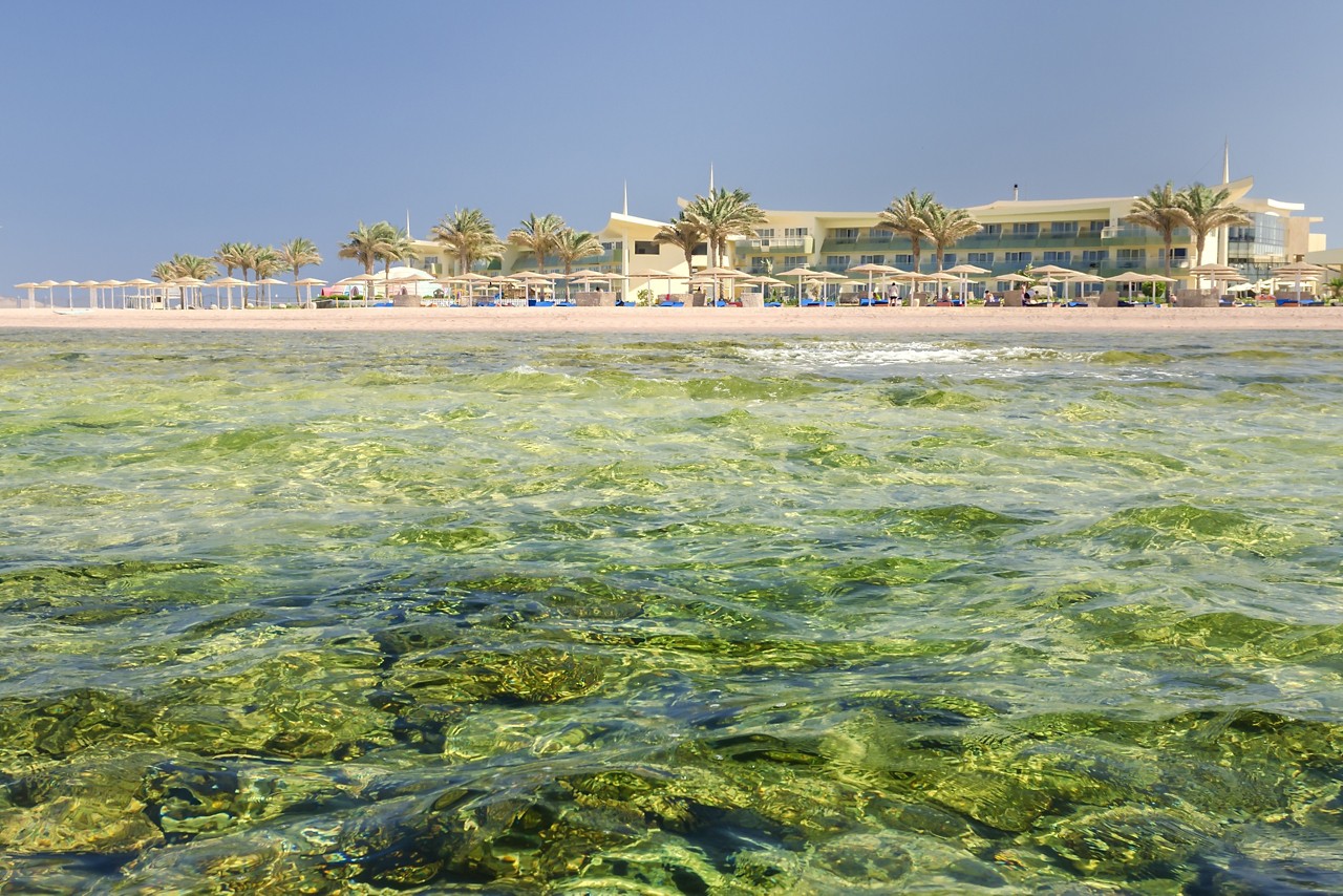 Barceló Hotels & Resorts in Sharm | Barcelo.com