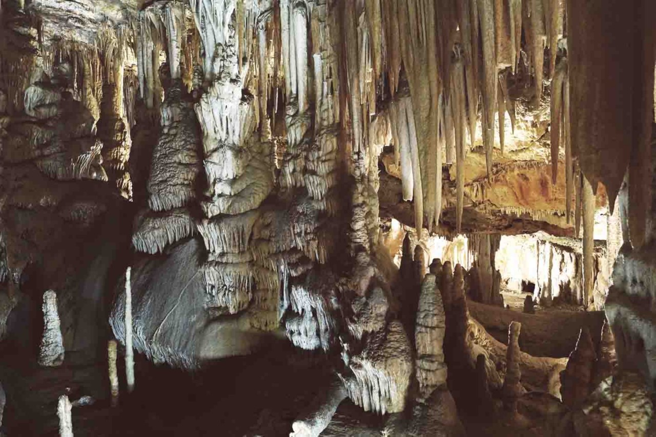 The major hotspots in Formentor, Majorca