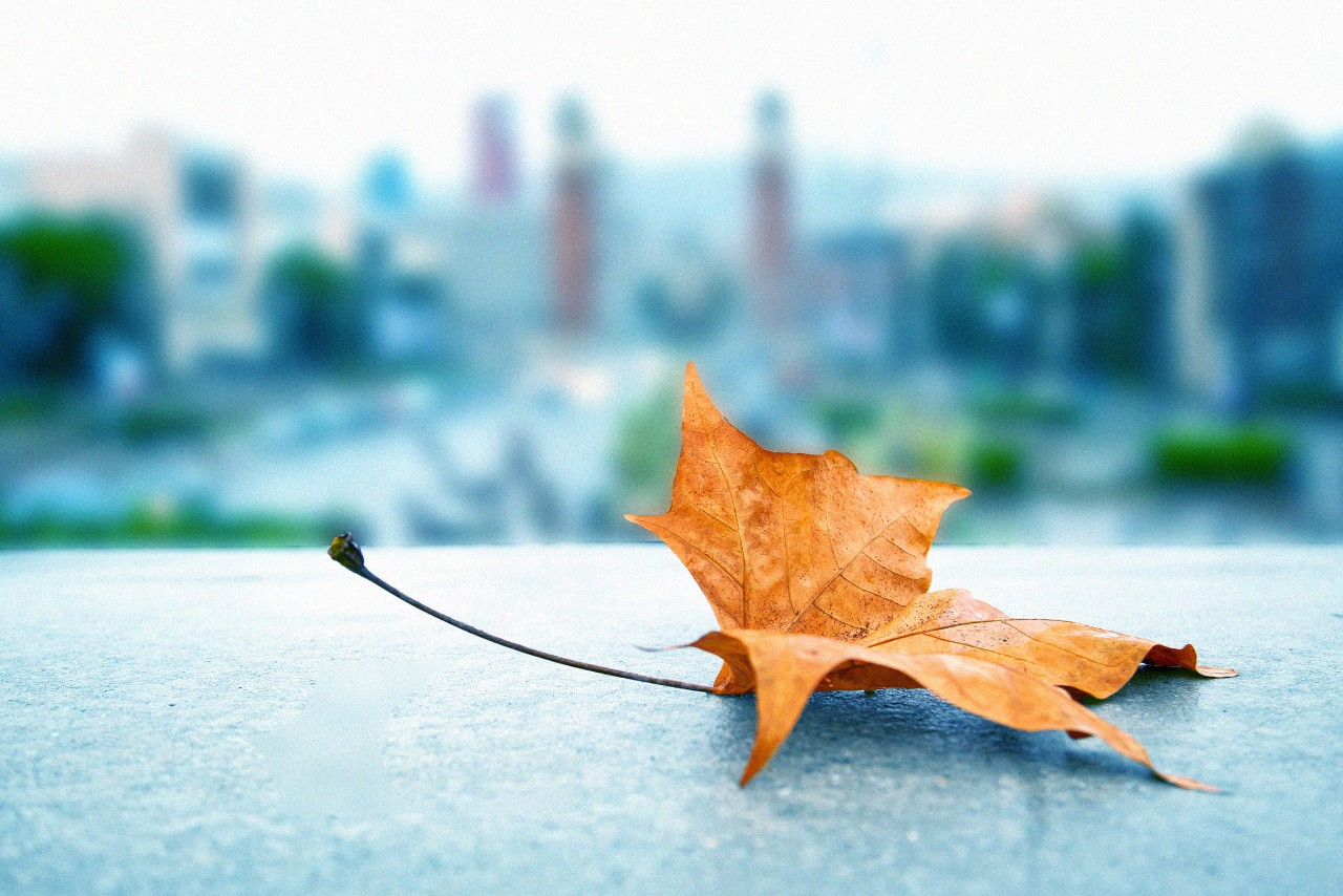 Best places to visit during fall… A city lover’s guide