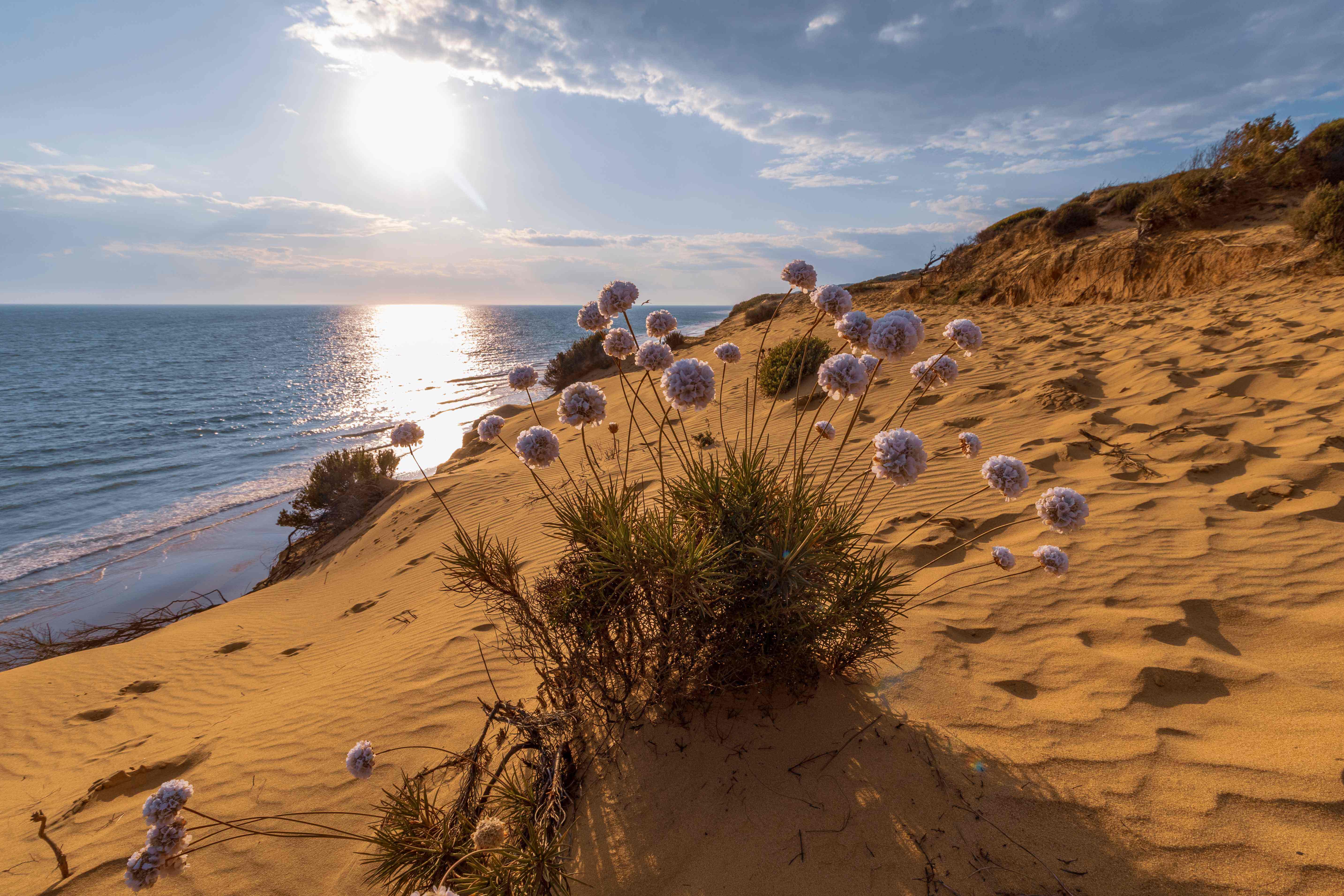 Un paseo por las mejores playas de Huelva