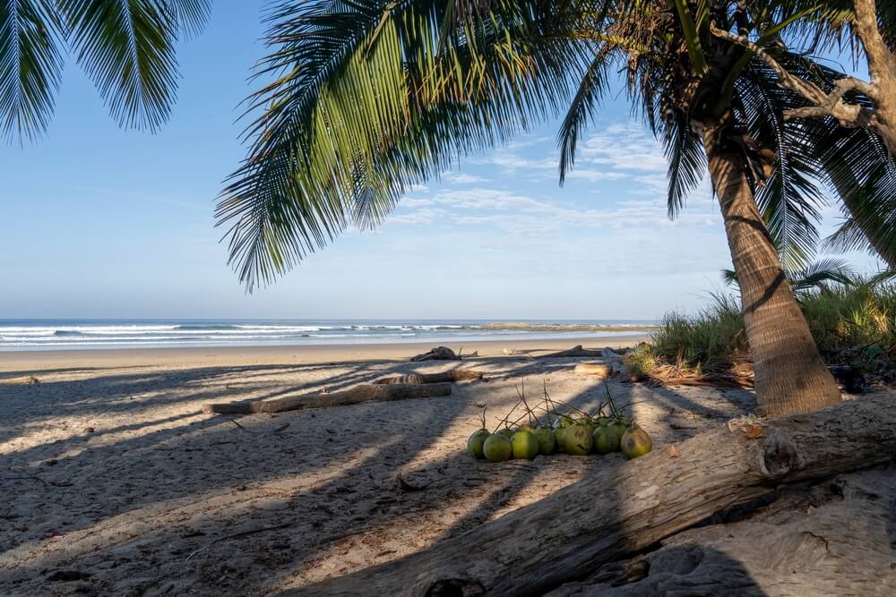 Playa Del Pacífico Sur Relacionada Del Caribe Al Pacífico: Costa