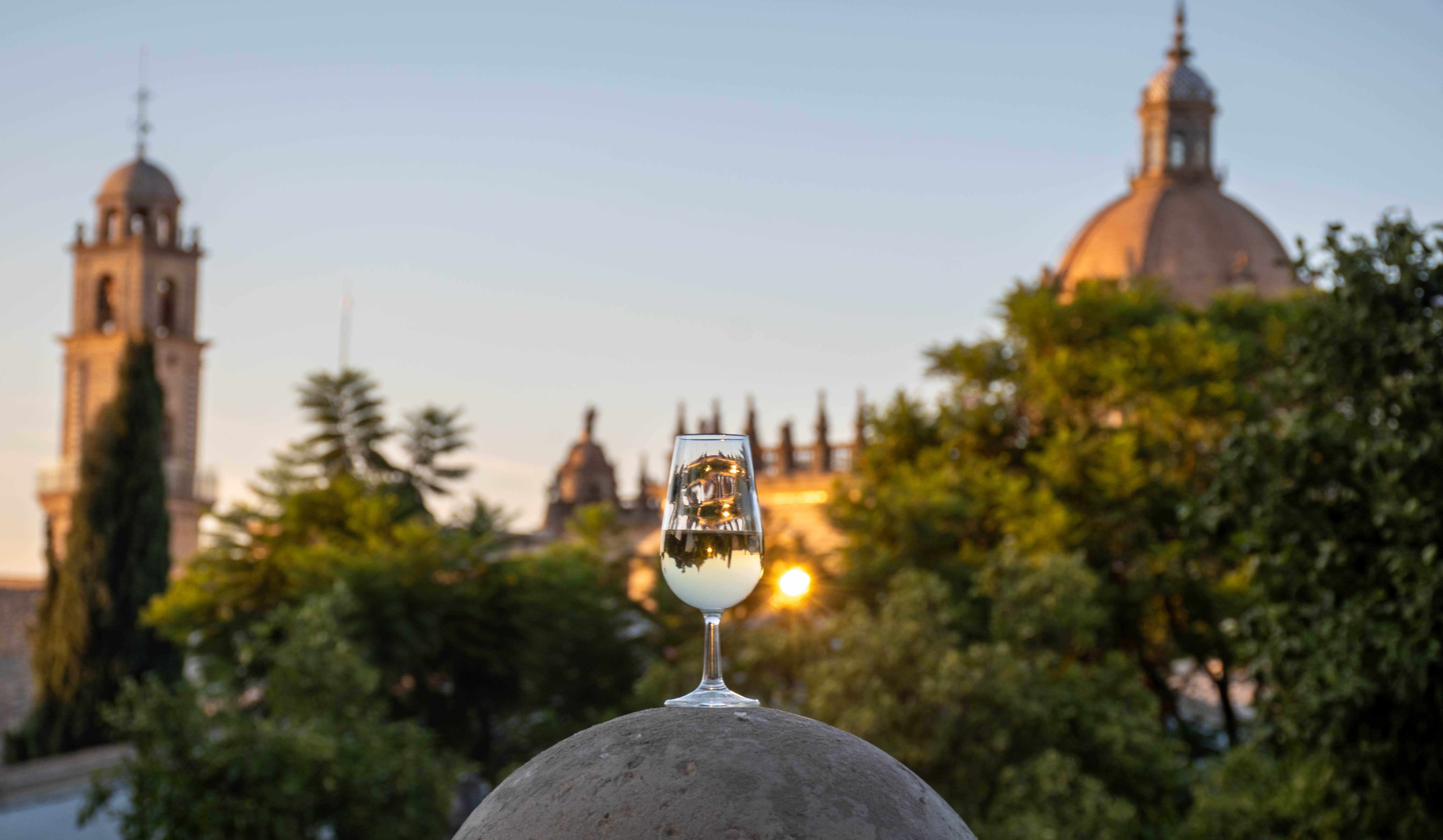 Sherry: A guide to the best Jerez wineries and wines