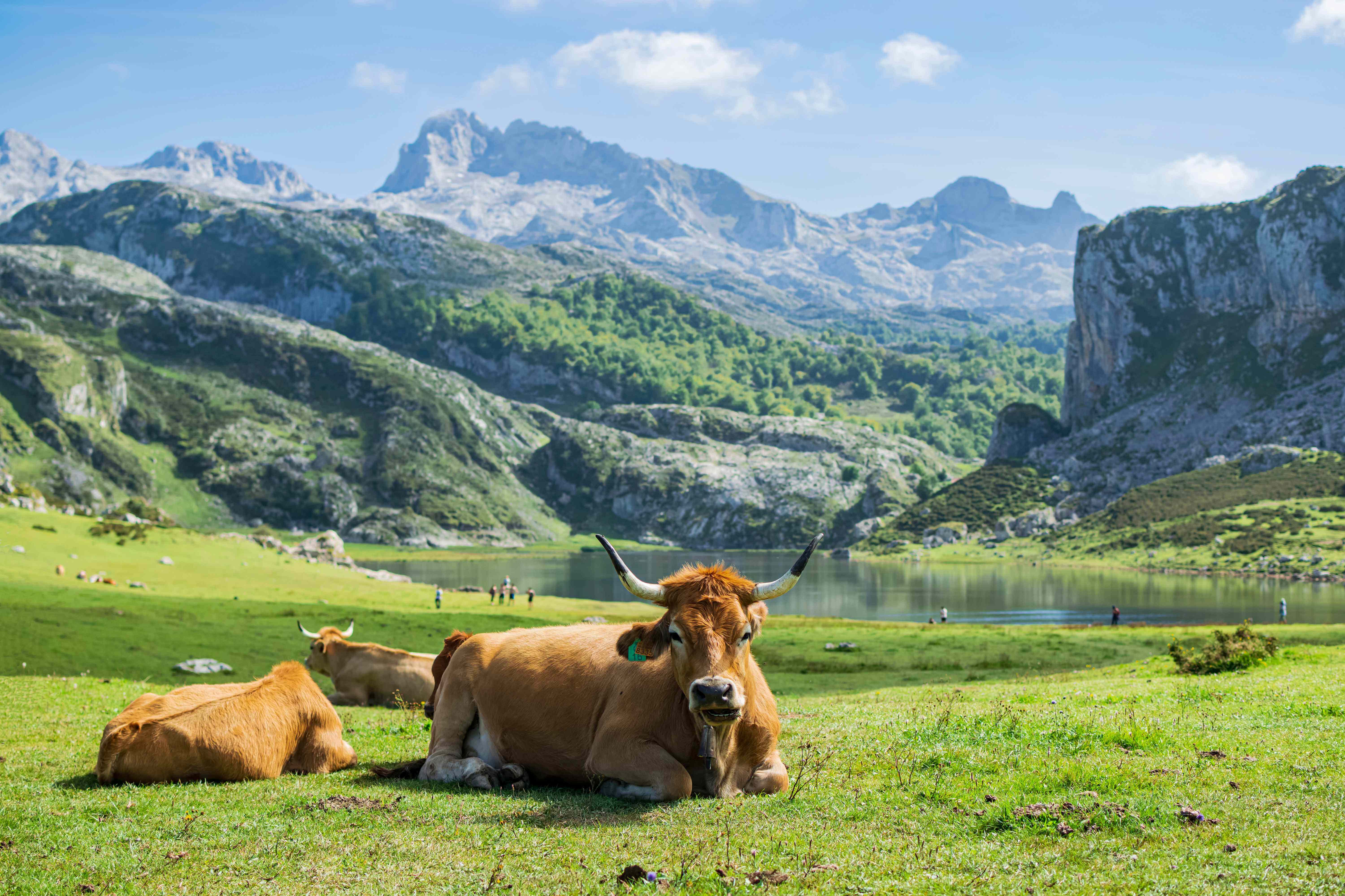Northern Spain holidays: Green escapes in Spain to enjoy now